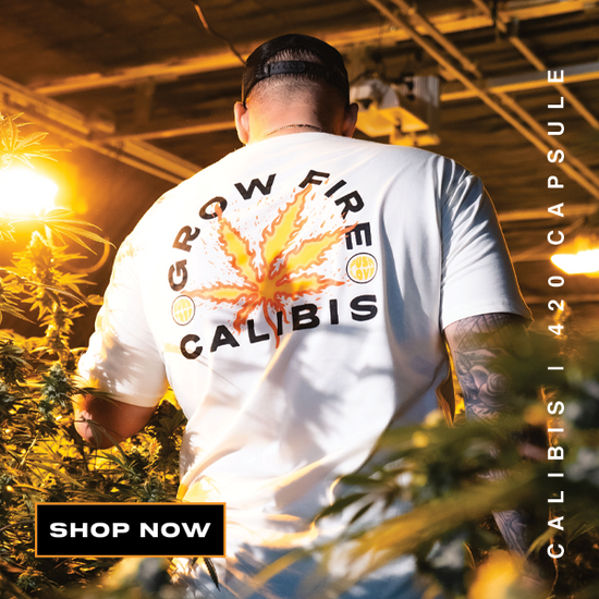Calibis Movement - Push Love – CALIBIS.com