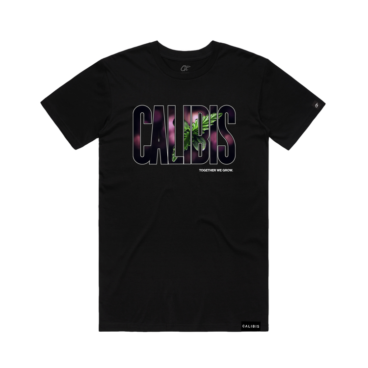 Calibis Movement - Push Love – CALIBIS.com