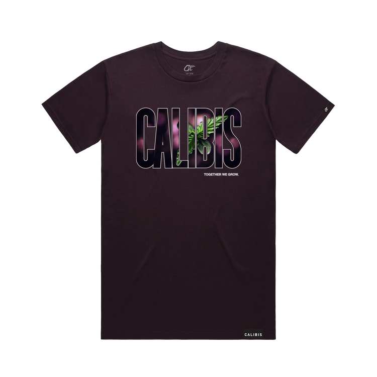 Calibis Movement - Push Love – CALIBIS.com